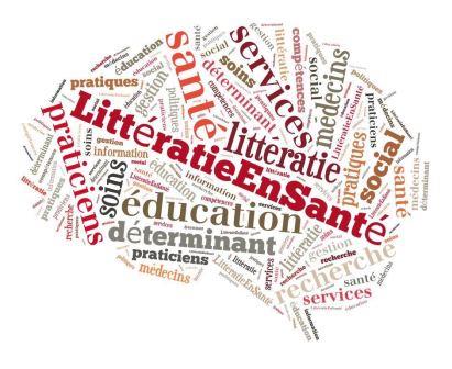 La littératie en santé, d’un concept à la pratique. GUIDE D’ANIMATION ...